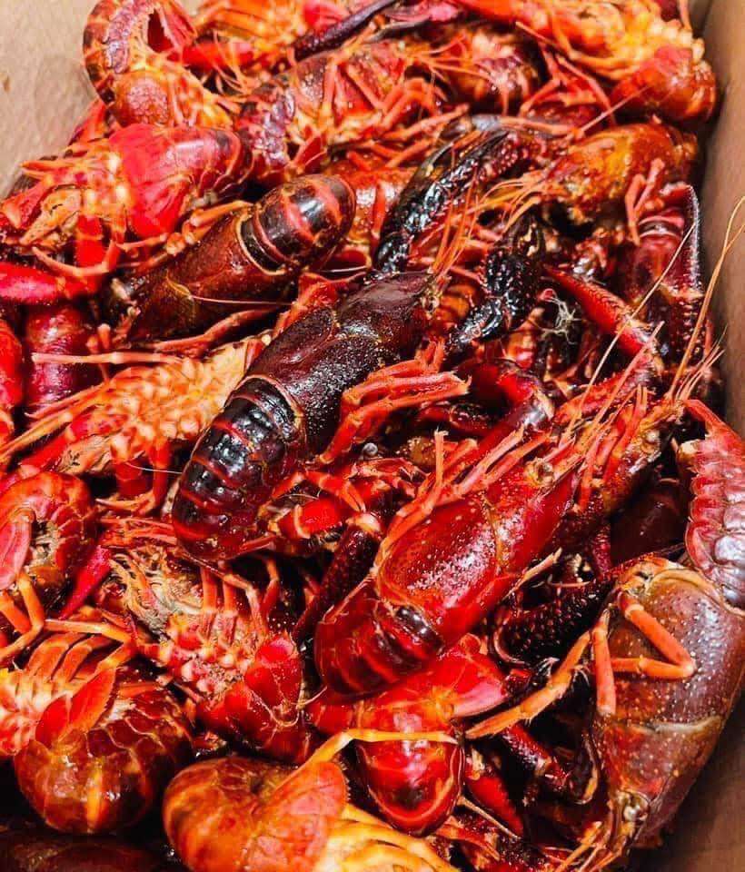 Người Việt Rao Vặt Crawfish U10 Giá Tốt - Garden Grove, CA - KinhDoanhUSA